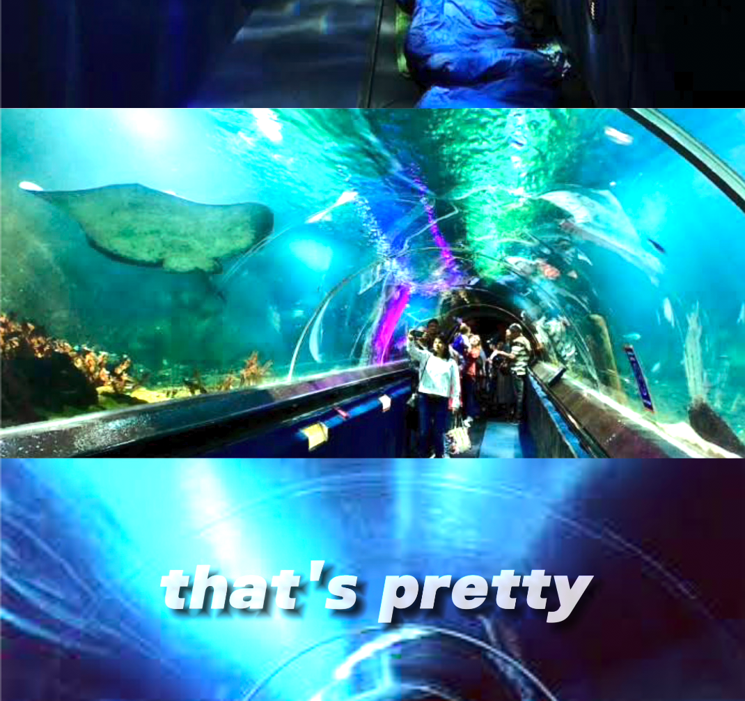 This is how you bend and form 100% recycled plastic panels - an intro ...